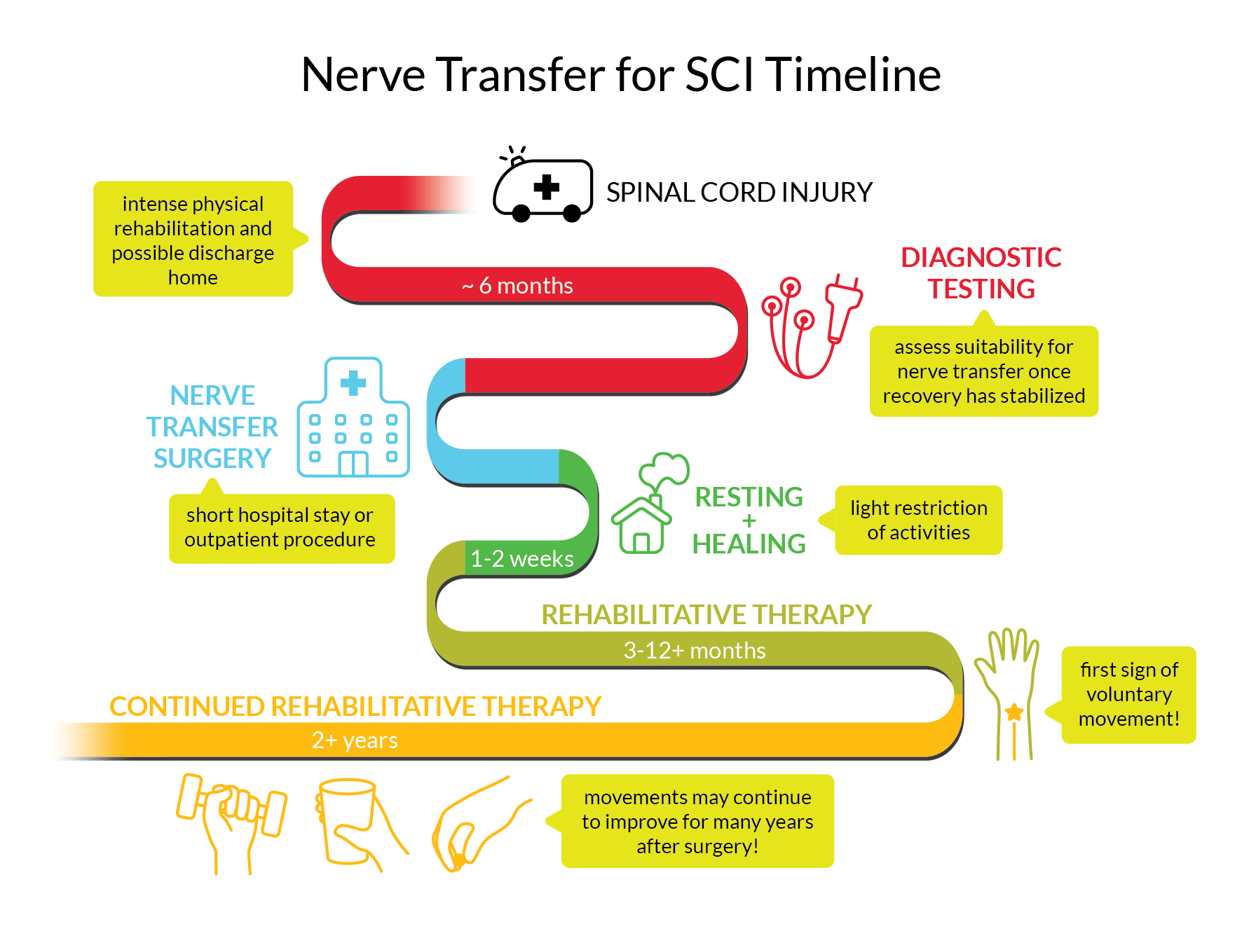 Nerve Transfer Surgery - SCIRE Community