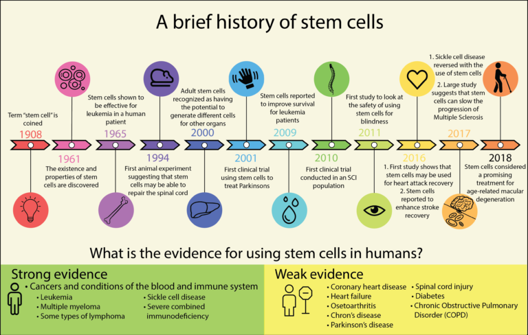 Stem Cells and Spinal Cord Injury - SCIRE Community